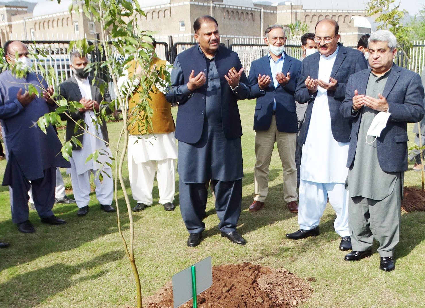 TREE PLANTATION DRIVE BY PTA - Teleco Alert